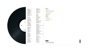 Calico Vinyl | Ryan Beatty